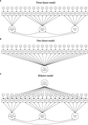 Frontiers | Children’s social emotional competence in Pakistan and Sweden: Factor structure and ...